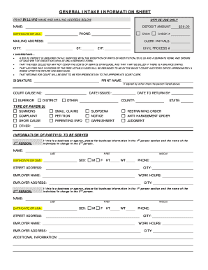 Fillable Online GENERAL INTAKE INFORMATION SHEET - Skagit County ...