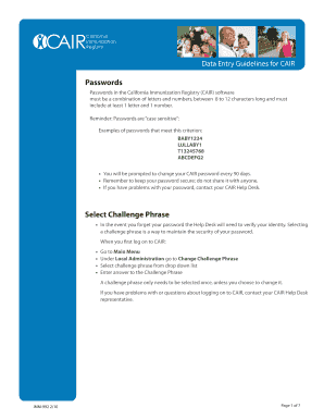 Fillable Online CAIR Data Entry Guidelines (7-Page Guide) (2/10 ...