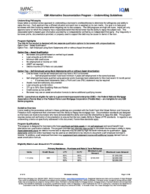 Fillable Online iQM Alternative Documentation Program Underwriting ...