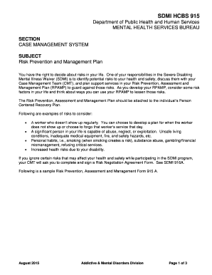 Fillable Online dphhs mt Risk prevention management plan and form ...