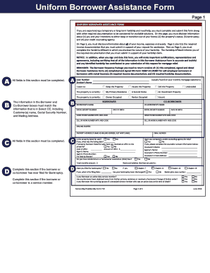 Fillable Online Uniform Borrower Assistance Form - spservicing.com Fax Email Print - pdfFiller