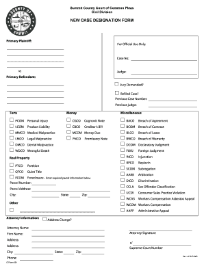 Fillable Online clerkweb summitoh NEW CASE DESIGNATION FORM - clerkweb ...