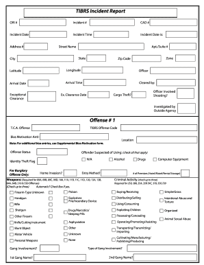Fillable Online tn TIBRS Incident Report - tn.gov Fax Email Print ...