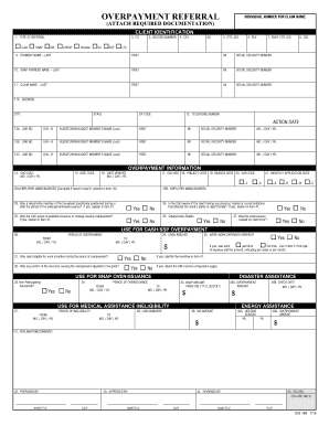 Fillable Online services dpw state pa OVERPAYMENT REFERRAL INDIVIDUAL ...