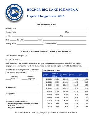 Fillable Online Capital Pledge Form Fax Email Print - pdfFiller