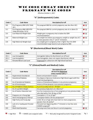 Fillable Online Pregnant WIC Codes Fax Email Print - pdfFiller