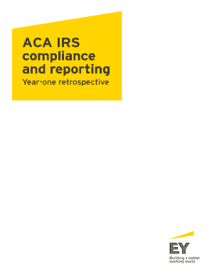 Reg 156 - Fill Out and Sign Printable PDF Template signNow Doc Template ...