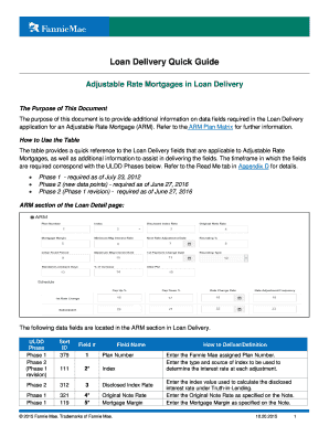 Fillable Online Loan Delivery Quick Guide Fax Email Print - pdfFiller