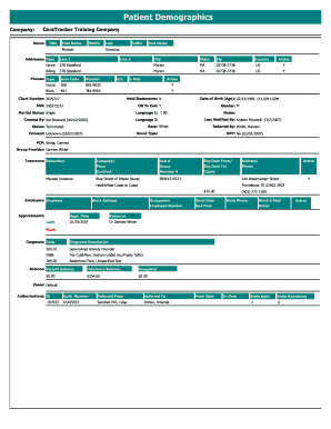 Fillable Online Patient Demographics - caretracker.com Fax Email Print ...