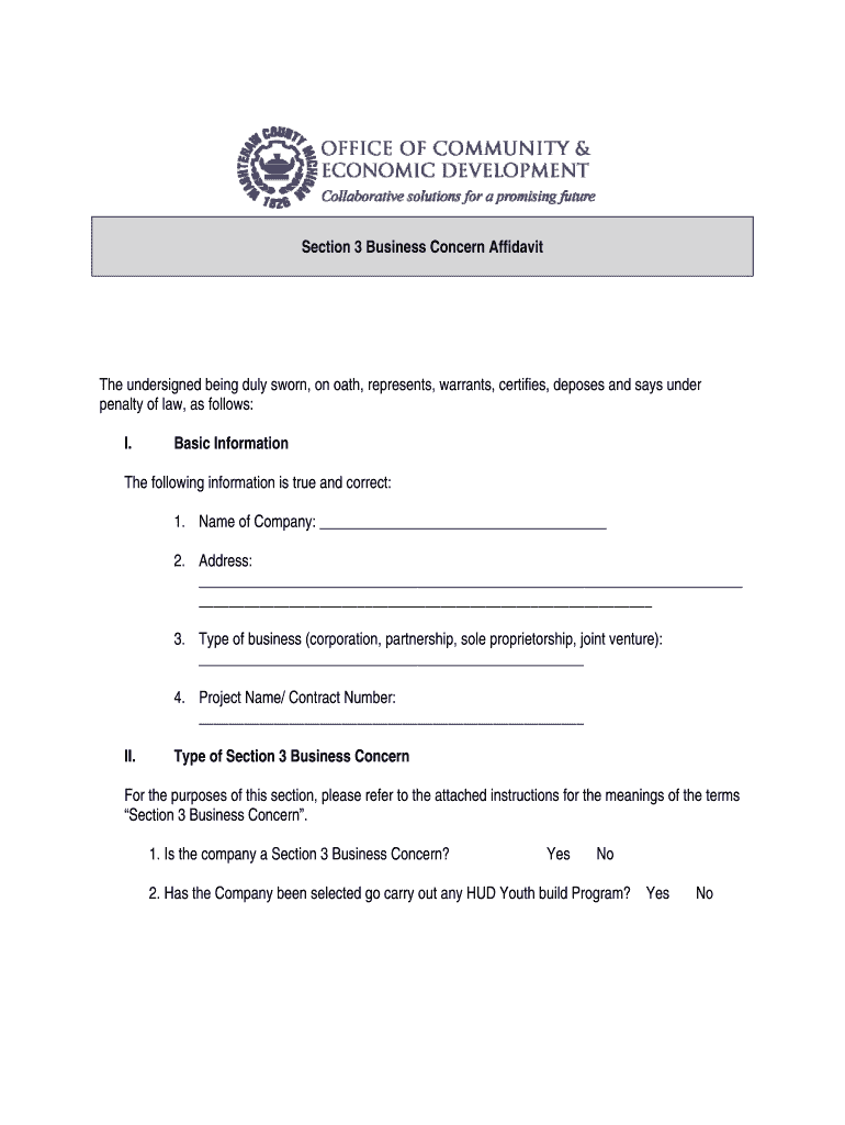 Fillable Online ewashtenaw Affidavit for Section 3 business concern ...