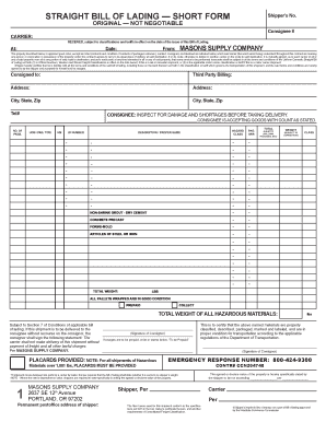 FIREBALL/METEOR REPORT Doc Template | pdfFiller
