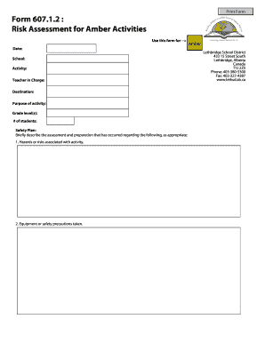Fillable Online lethsd ab Form 607.1.2 : Risk Assessment for Amber ...