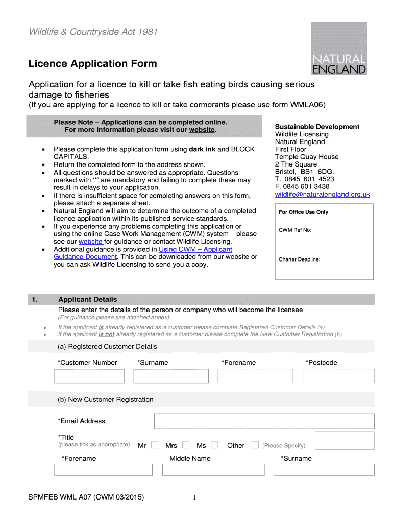Fillable Online Licence Application Form - Gov.uk Fax Email Print ...