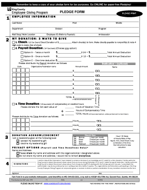 Fillable Online kingcounty Paper Pledge Form Information.docx Fax Email ...