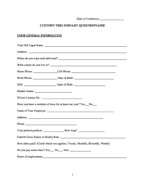 Fillable Online CUSTODY PRELIMINARY QUESTIONNAIRE Fax Email Print ...