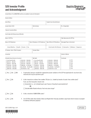 Fillable Online intranet cityofevanston 529 Investor Profile and ...