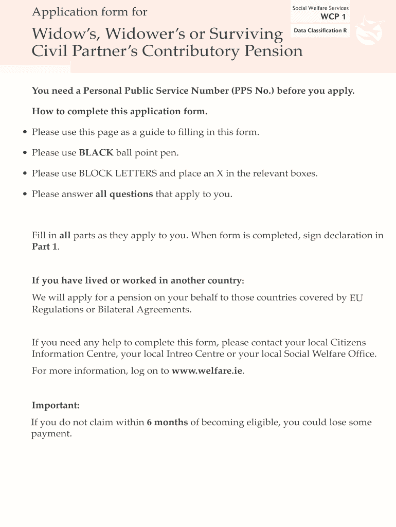 Fillable Online m welfare Application form for Social Welfare Services ...