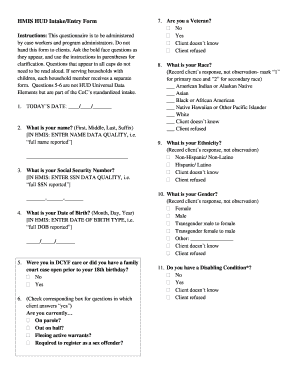 Fillable Online HMIS HUD Intake/Entry Form Fax Email Print - pdfFiller