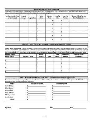 Fillable Online SMALL BUSINESS DEBT SCHEDULE - dakotacdc.com Fax Email ...