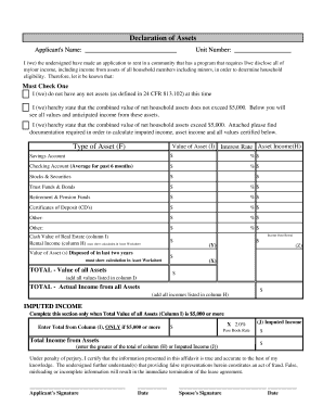 Fillable Online Declaration of Assets Fax Email Print - pdfFiller
