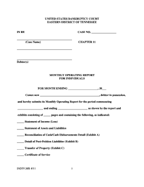 Fillable Online justice MONTHLY OPERATING REPORT FOR INDIVIDUALS ...