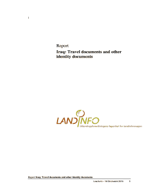 Fillable Online Iraq: Travel documents and other Fax Email Print ...