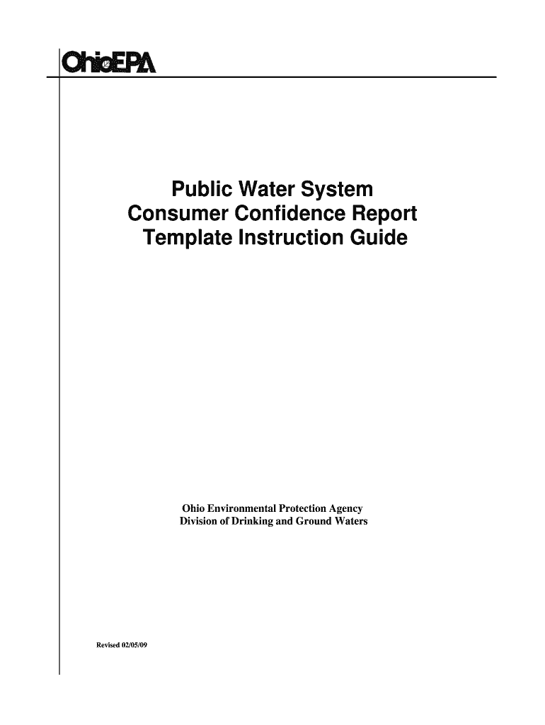 Fillable Online epa state oh CCR Template Instruction Guide 09 Master ...