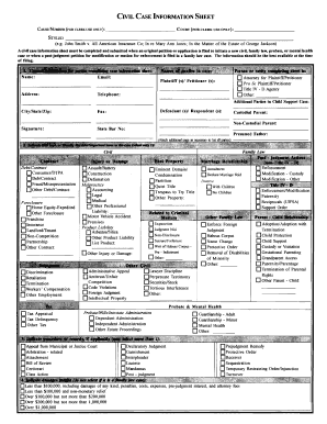 Fillable Online Civil case information Fax Email Print - pdfFiller