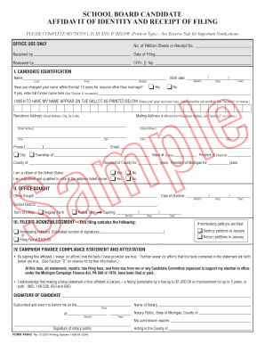 Fillable Online School board candidate affidavit of identity and ...