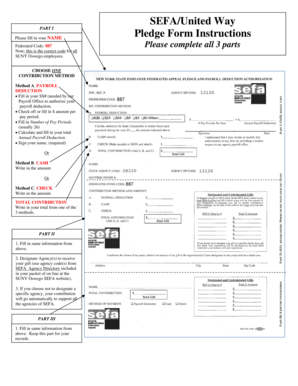 Fillable Online SEFA/United Way Pledge Form Instructions Please ...