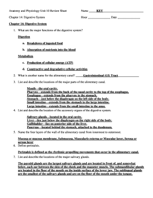 Fillable Online Anatomy and Physiology Unit 14 Review Sheet Fax Email ...