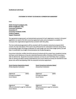 Fillable Online academicdepartments musc (Institutional Letterhead ...