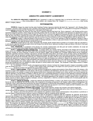 Fillable Online ABSOLUTE ASSIGNMENT AGREEMENT Fax Email Print - pdfFiller