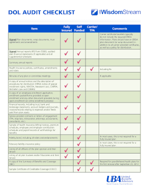 Fillable Online DOL AUDIT CHECKLIST Fax Email Print - pdfFiller