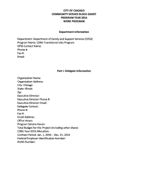 Fillable Online cityofchicago 2016 CSBG Program Work Plan Template1 ...