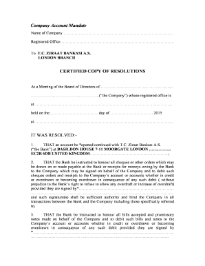 Fillable Online Company Account Mandate Fax Email Print - pdfFiller