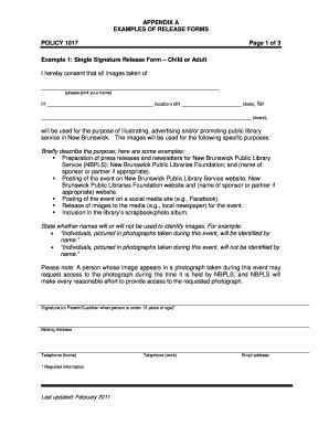 Fillable Online www2 gnb Policy 1017 - Appendix A : Examples of Release ...