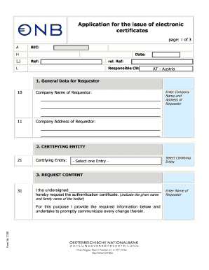 Fillable Online C100 Application for the issue of electronic ...