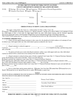 Fillable Online 12 218 239 Order on Rule to Show Cause (ChildSupport ...