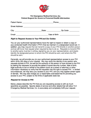 Fillable Online Request for Access - TLC Medical Transportation Fax ...