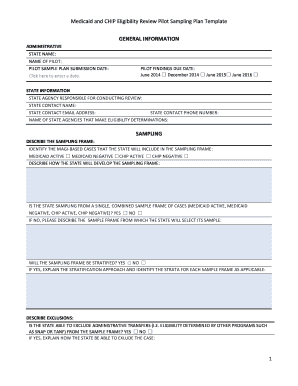 Fillable Online Medicaid and CHIP Eligibility Review Pilot Sampling ...