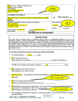 Fillable Online courts state co General Information STEP 1: Complete ...