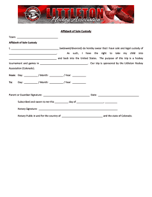 Fillable Online Affidavit of Sole Custody Fax Email Print - pdfFiller