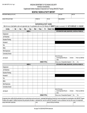 Fillable Online SNA-1046AFORFF - Monthly Work Activity Report. Monthly ...