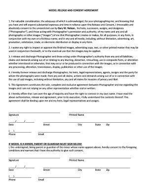 Dsv Sli - Fill Online, Printable, Fillable, Blank | pdfFiller