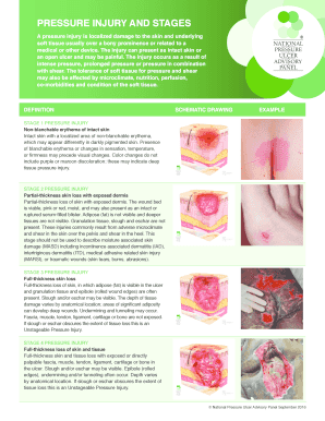 Fillable Online PRESSURE INJURY AND STAGES Fax Email Print - pdfFiller