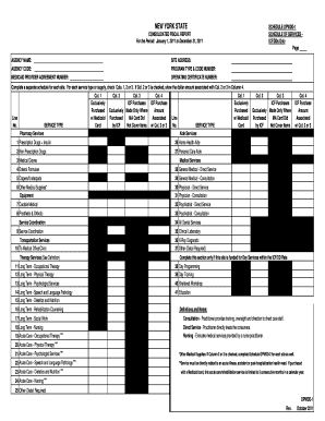 Fillable Online omh ny SCHEDULE OPWDD-1 Fax Email Print - pdfFiller