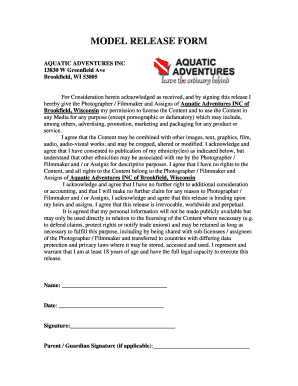 Fillable Online MODEL RELEASE FORM - diveaai.com Fax Email Print ...
