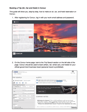 Fillable Online documents dgs ca Booking a Trip (Air, Car and Hotel) in ...