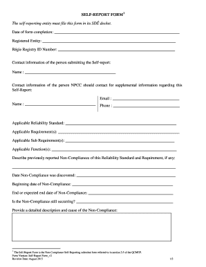 Fillable Online SELF-REPORT FORM The self-reporting entity must file ...